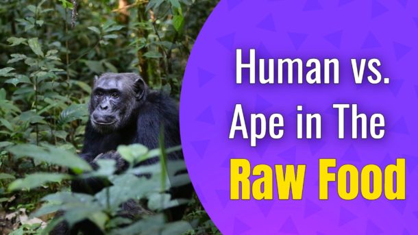 Human vs. Ape in the Raw Food Diet - Healthy News Articles