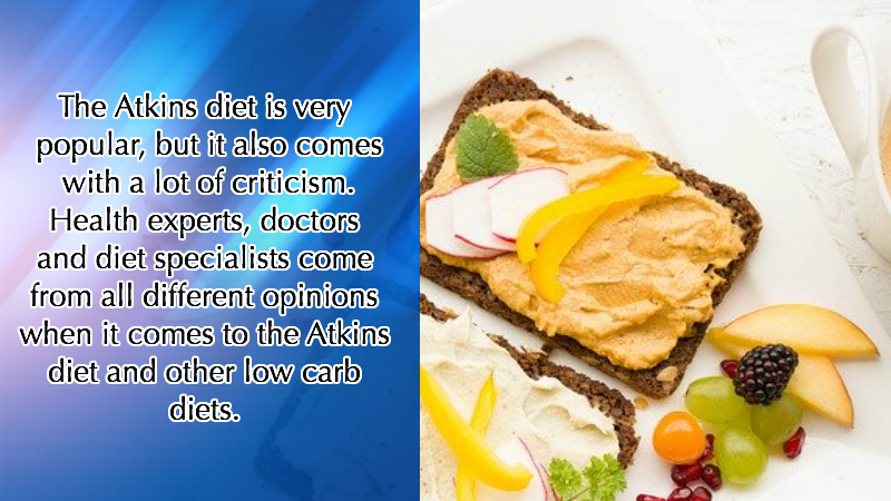 Atkins Criticism - Healthy News Articles