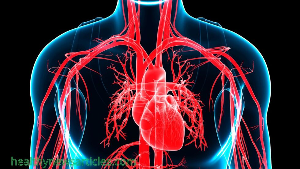 The BEST Meal to Clean Out Your Arteries
